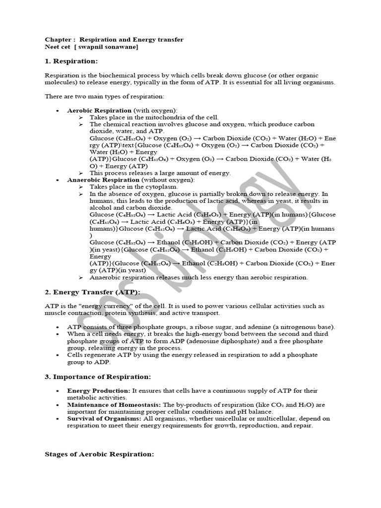 Respiration and Energy Transfer Explained | PDF | Cellular Respiration ...