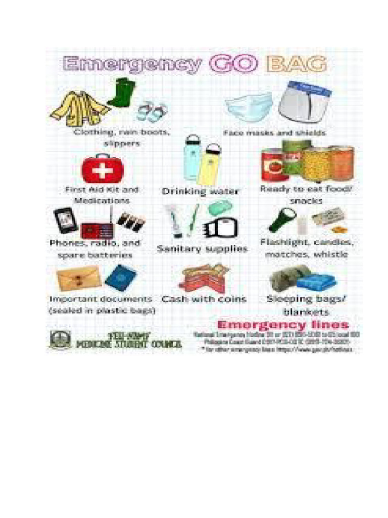 Emergency Go Bags | PDF