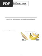 Grade 12 Esterification Practical Test | PDF | Ester | Ethanol