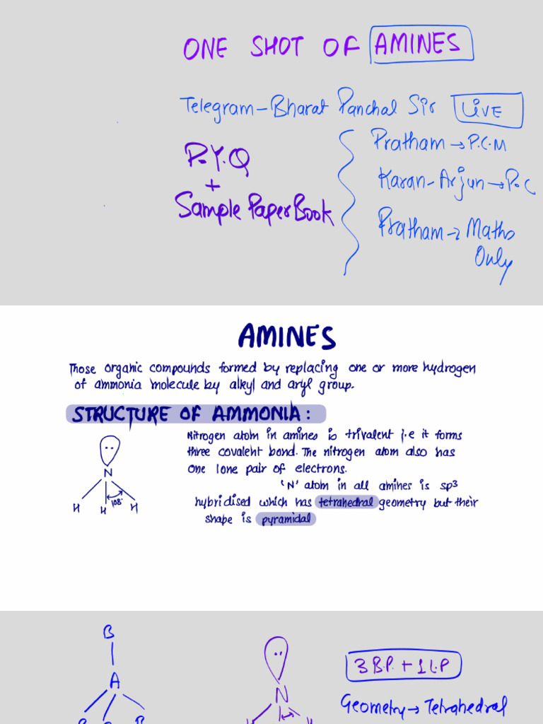 Amines One Shot by BP Sir-Invert | PDF
