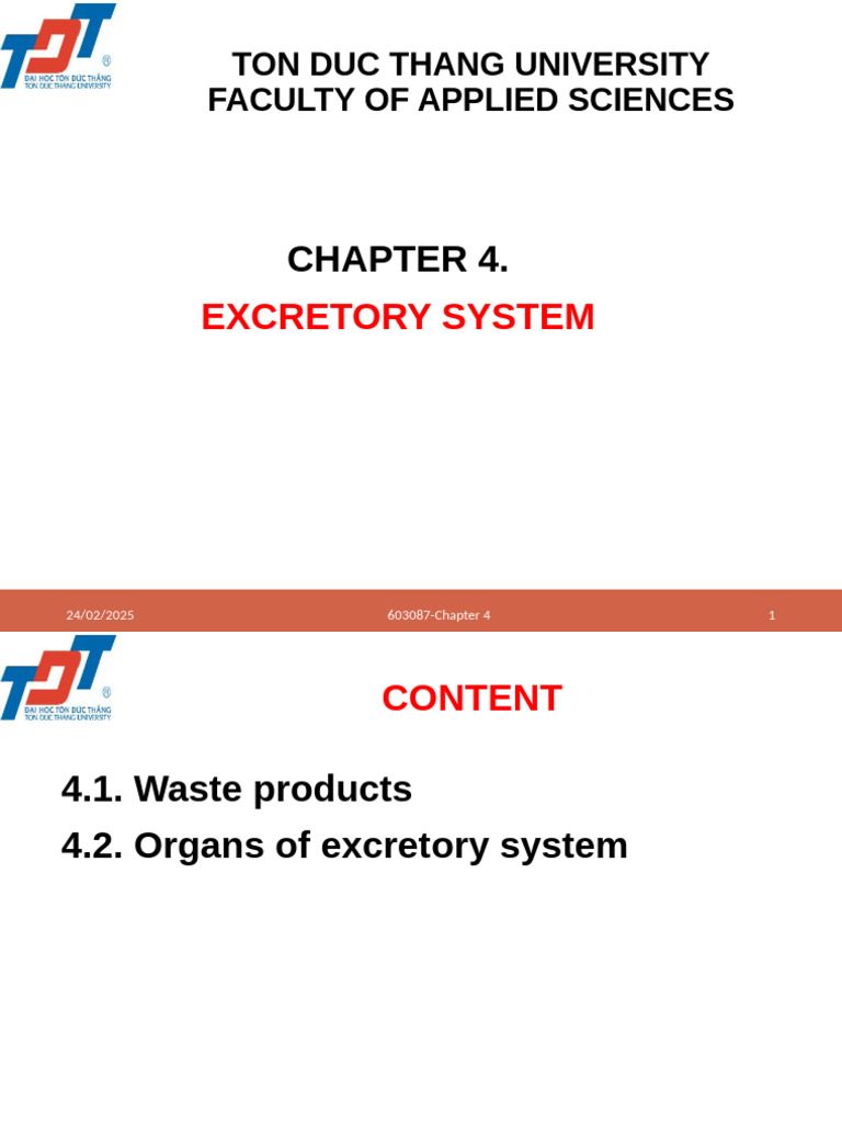 Excretory System Overview and Functions | PDF | Excretion | Kidney