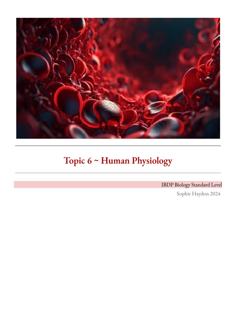 IBDP BIOLOGY Topic 6 - Human Physiology | PDF | Artery | Vein