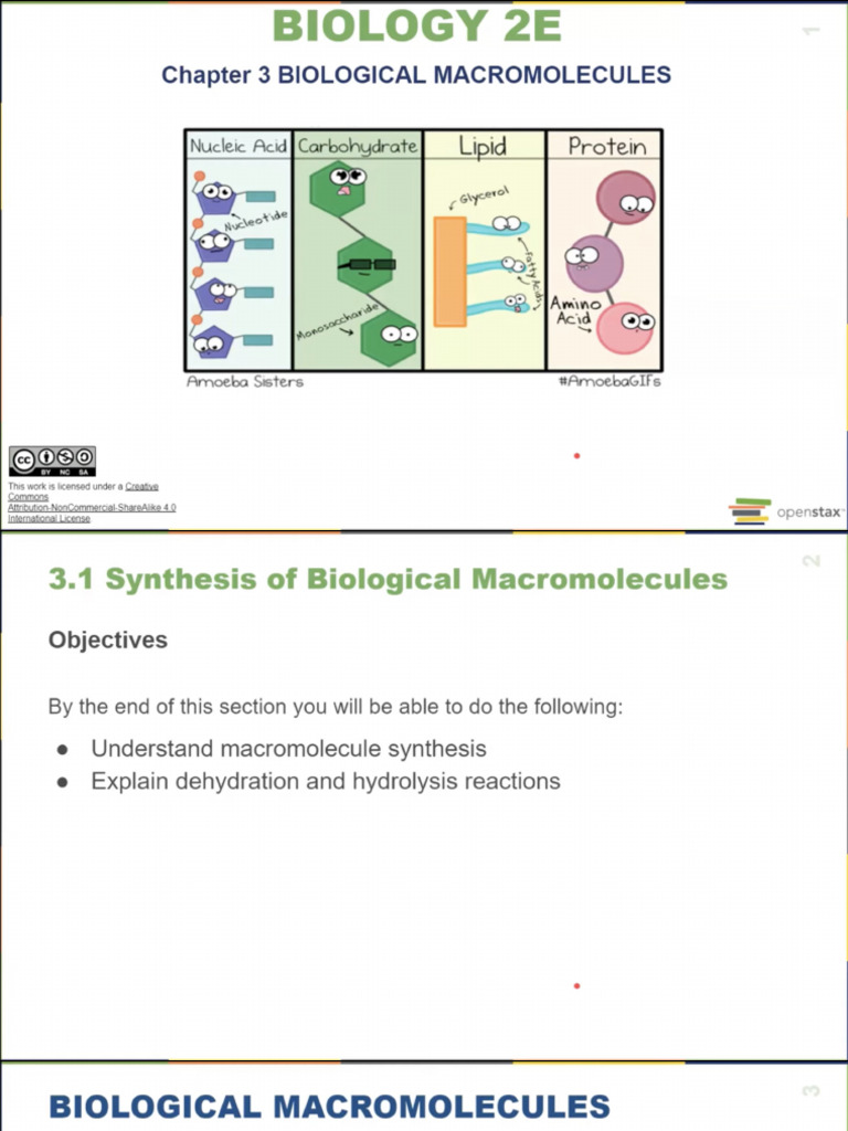 Macromolecules | PDF