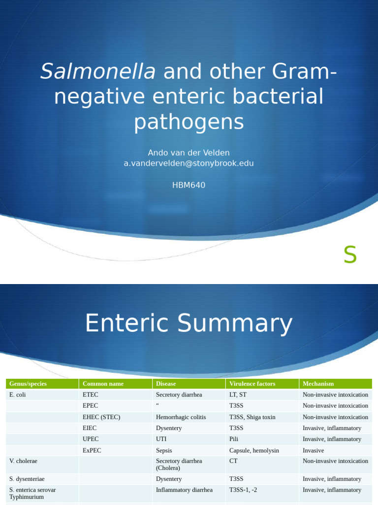 Lec19 | PDF | Salmonella | Gastroenterology