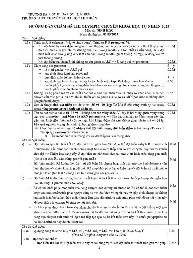 Ngay 2 - 2023 - Final - Tach Dap An - V2 | PDF