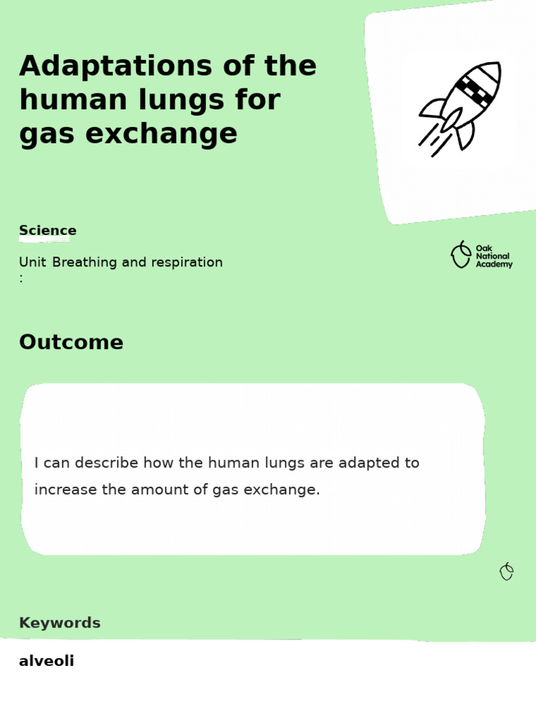 slidedeck | PDF | Lung | Diffusion