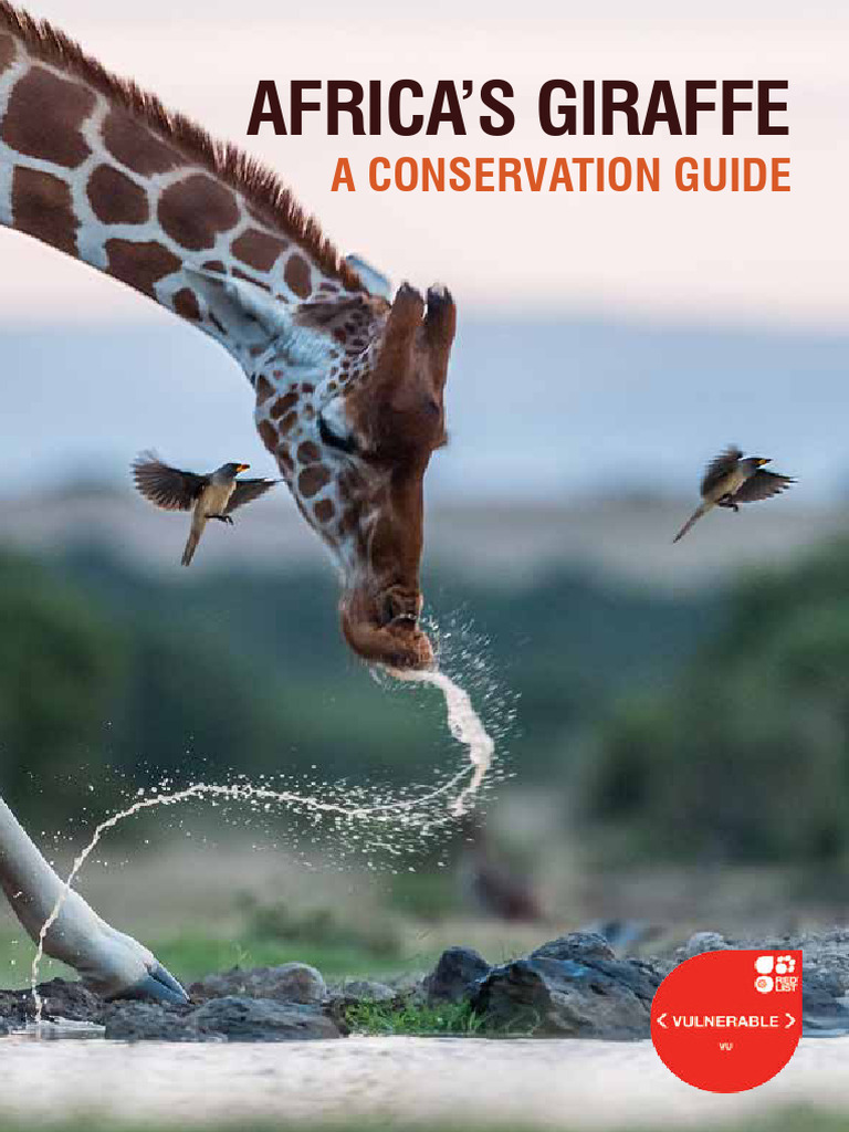 GCF Giraffe Booklet 2019 LR Spreads c GCF | PDF | Giraffe