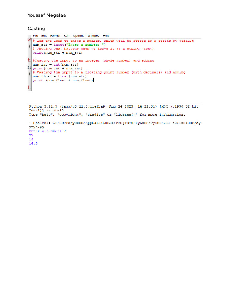 Python Year 8 Casting | PDF