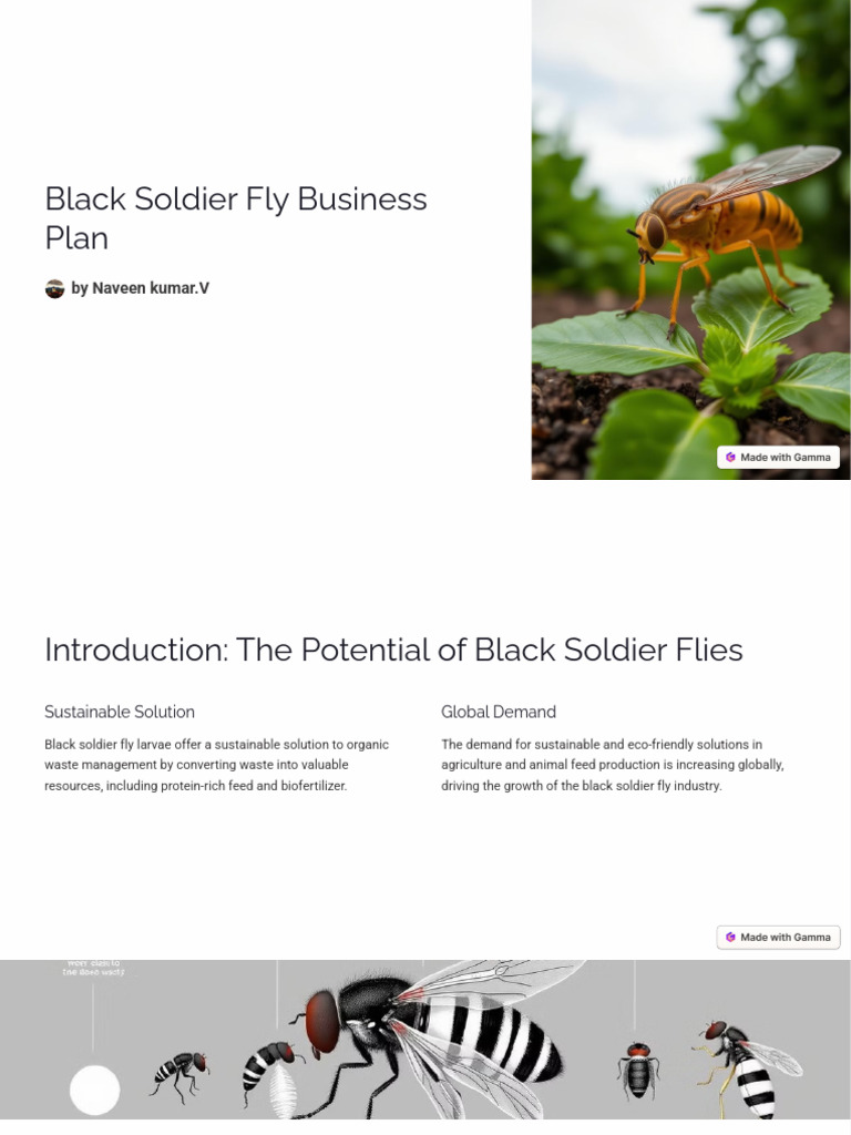 Black Soldier Fly Business Plan | PDF | Agriculture | Natural Environment