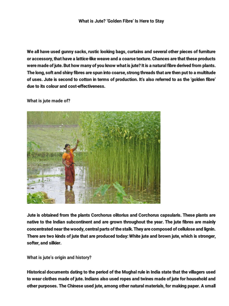 What Is Jute | PDF | Jute | Textiles