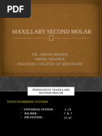 Morphology of permanent maxillary 3rd molar | PDF | Dental Anatomy ...