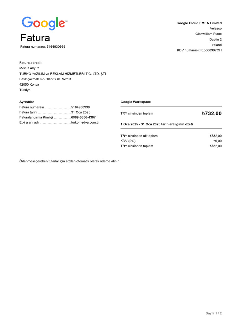 Google Ads İnvoice | PDF