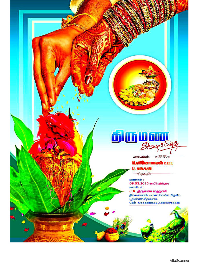 AltaScanner 02 17 2025 | PDF