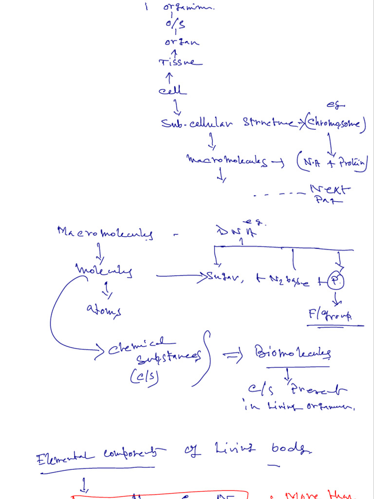 Biomolecules- Ix Cl1 | PDF