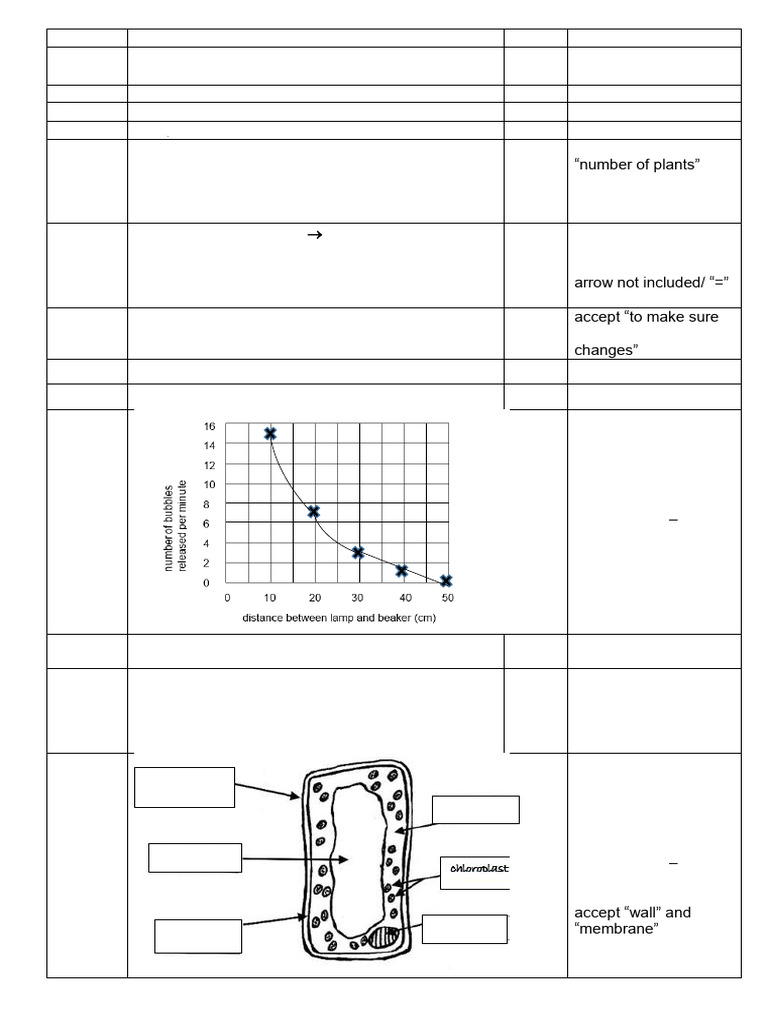 Photosynthesis Test BIOLOGY 1 Mark Scheme | PDF | Photosynthesis | Biology