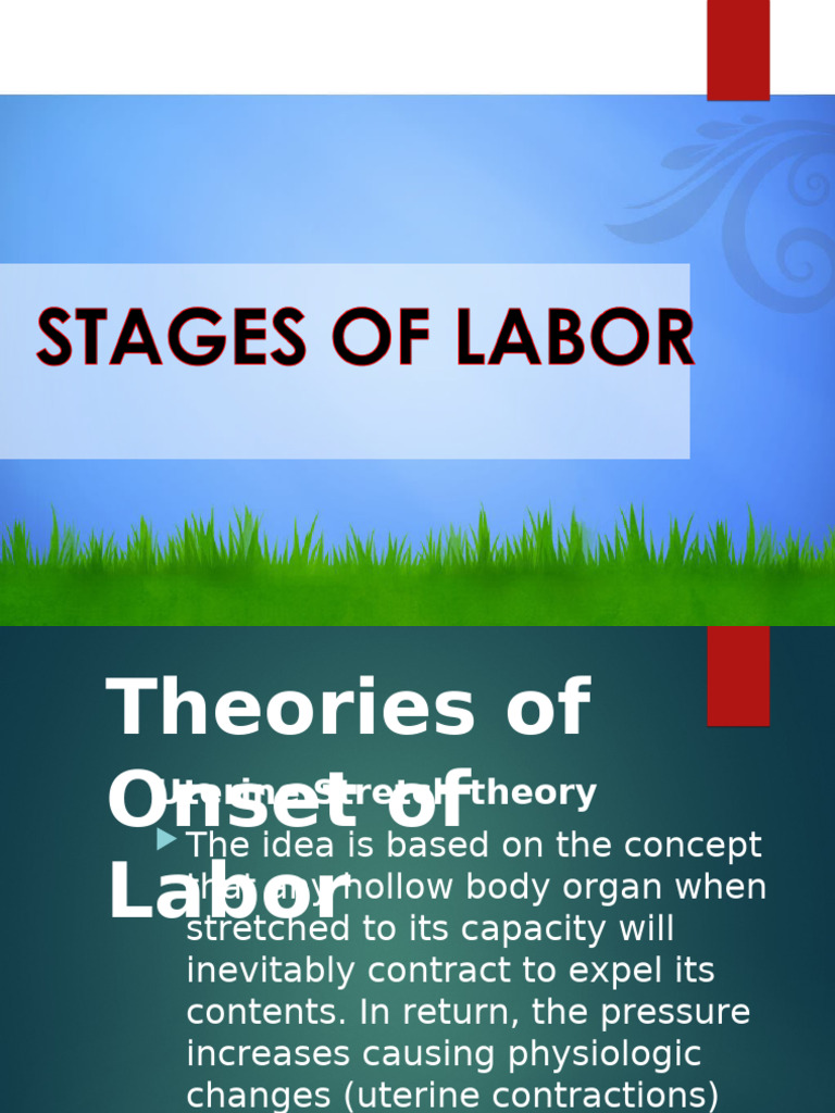 Stages of Labor 1 | PDF | Childbirth | Uterus