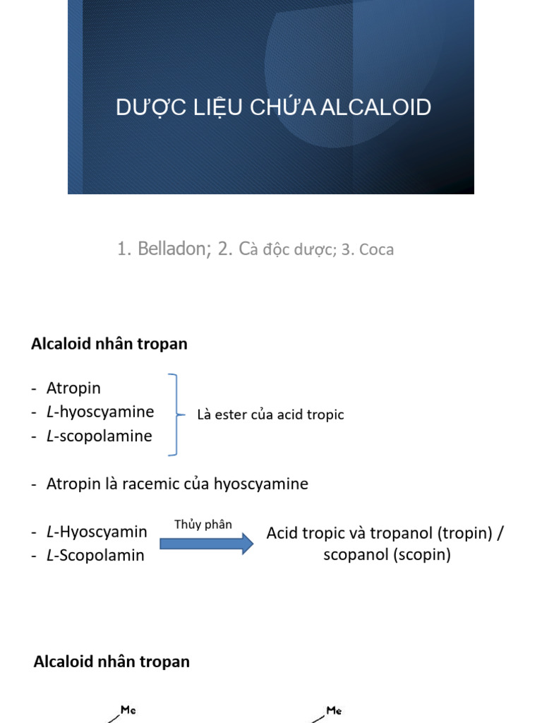 (DL2) Nhân Tropan | PDF