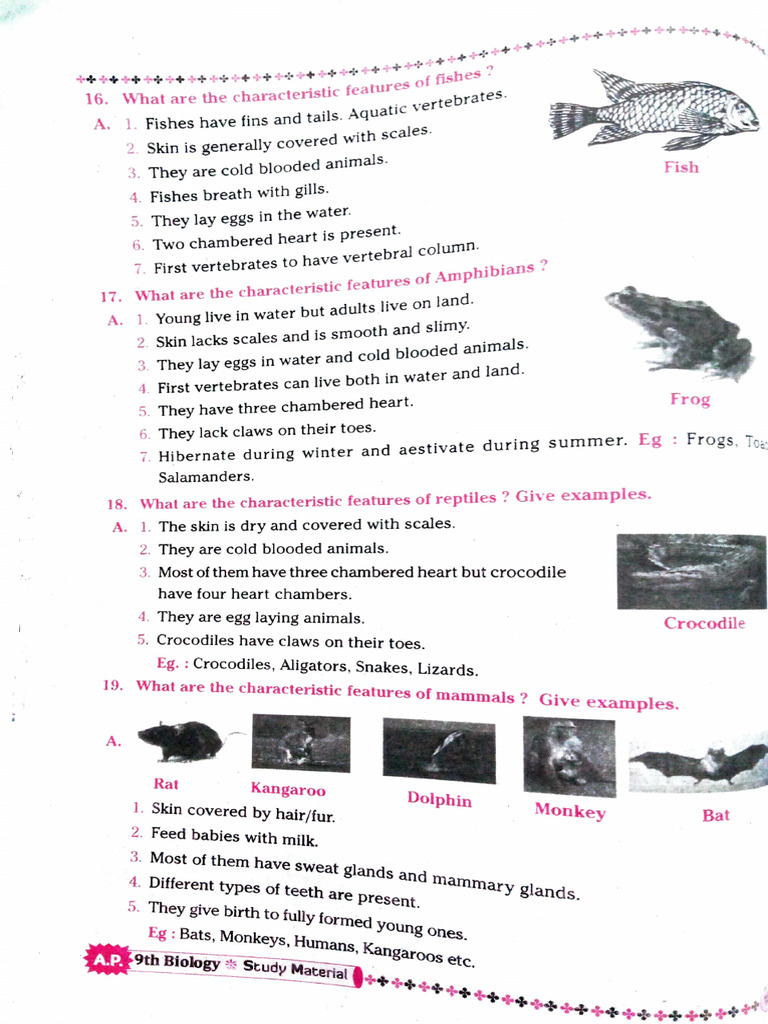 Adobe Scan 11-Mar-2024 | PDF | Biology | Zoology