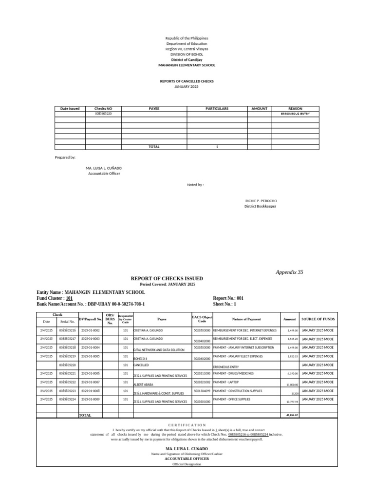 Mahangin ES Consol Jan2025 CDR RCI RCC 2025 | PDF | Payments ...