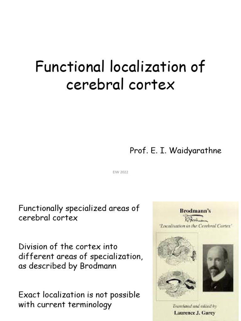 Functional Localization of Cerebral Cortex 2020 | PDF | Cerebral Cortex | Frontal Lobe