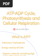 Answer Key Cellular Respiration Pogil | PDF | Cellular Respiration ...