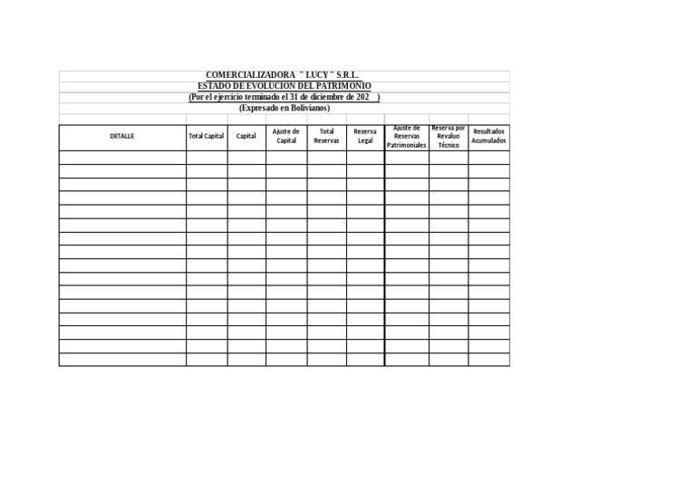Form. Estado de Evol Del Patrimonio | PDF