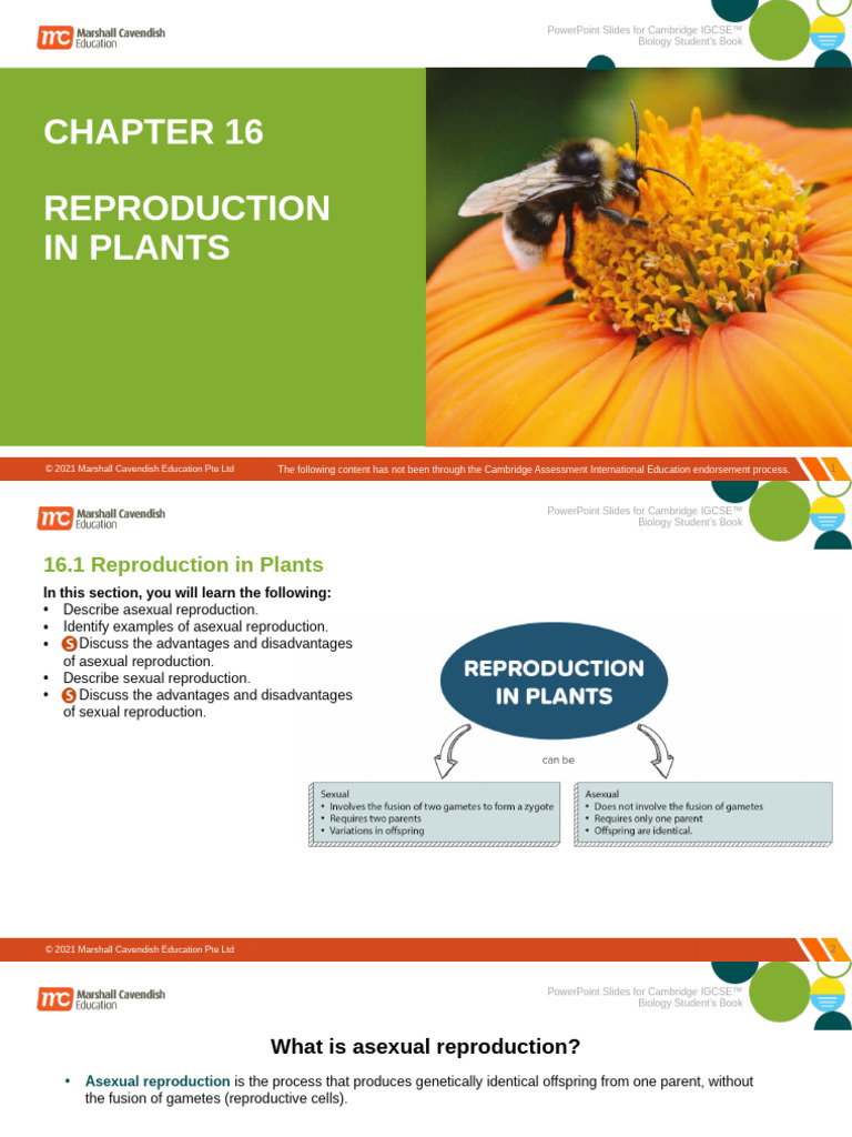 MCE IGCSE Biology PPT C16 | PDF | Flowers | Pollination