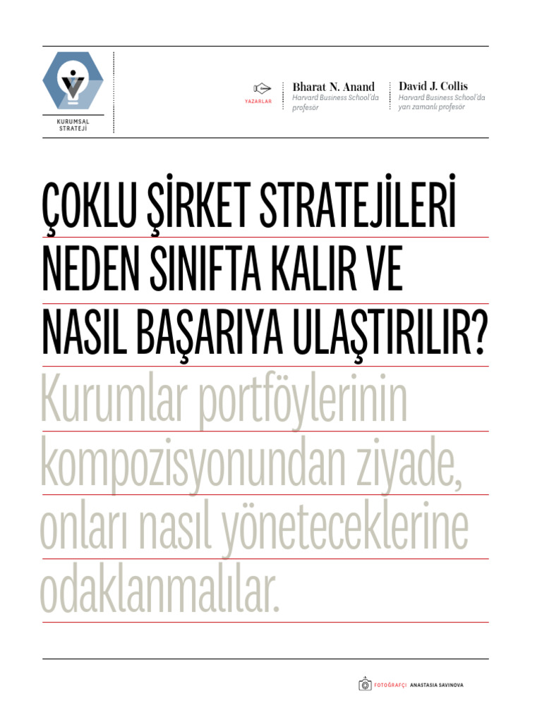 Coklu Sirket Stratejileri Neden Sinifta Kalir Ve Nasil Basariya ...