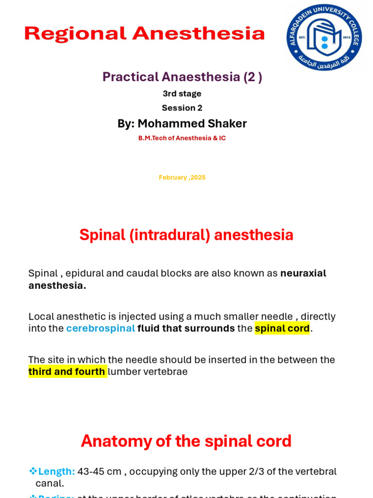 Spinal (Intradural) Anesthesia | PDF | Vertebra | Anesthesia