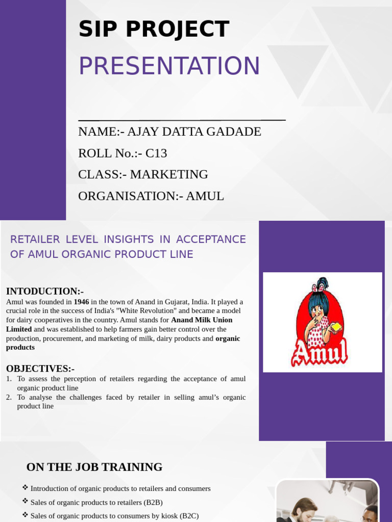 Ajay Sip Presentation Final | PDF | Retail | Marketing