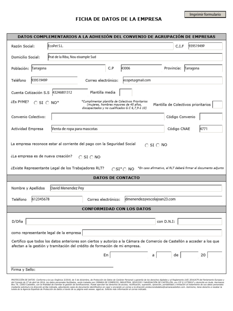 Ficha de Empresa - Pendiente A Rellenar | PDF