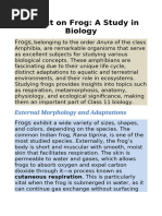 Classification of Frogs | PDF | Frog | Amphibian