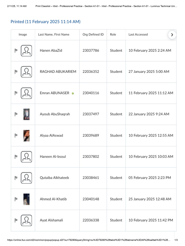 Print Classlist - Irbid - Professional Practice - Section A1-01 | PDF