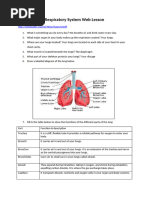 Understanding the Respiratory System | PDF