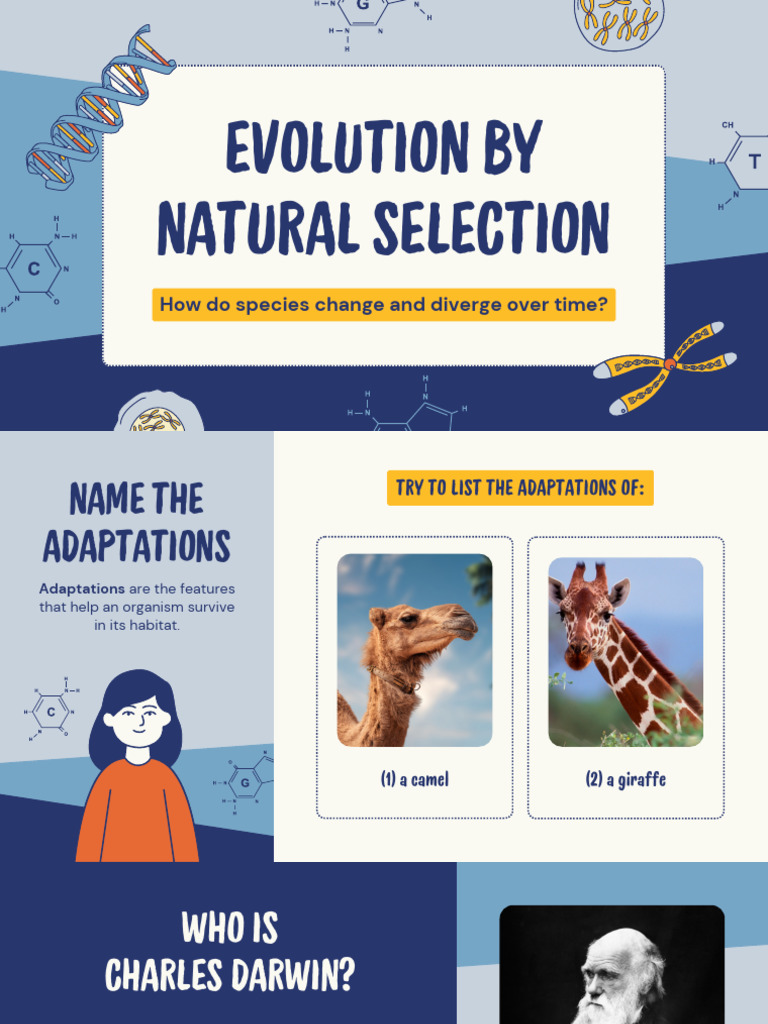 Evolution by Natural Selection | PDF | Natural Selection | Evolution
