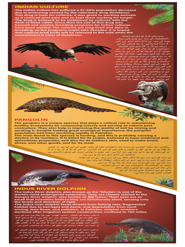 Slide2 114x40 Inch | PDF