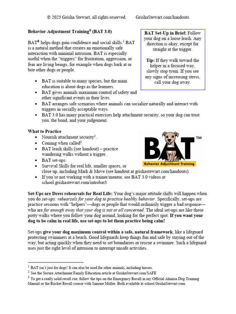 Bat Basics Pdf Dogs Leash