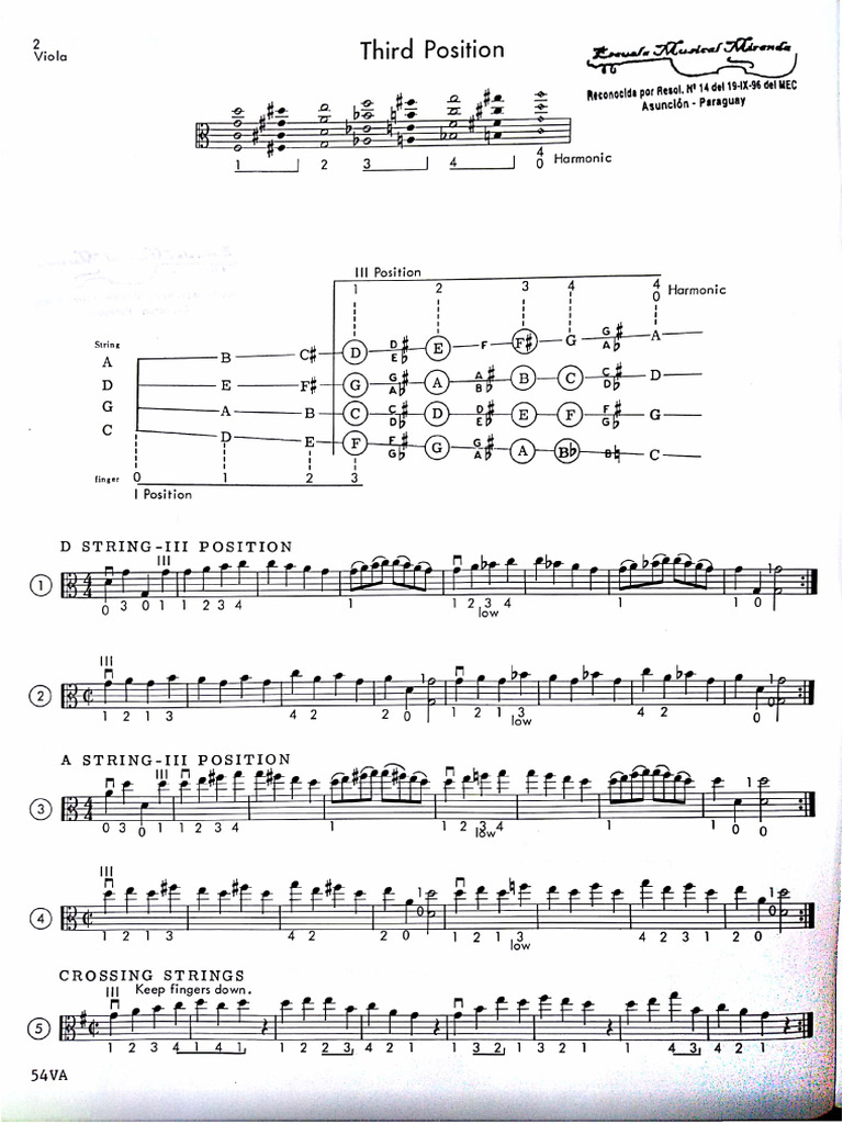 Muller Rusch Viola | PDF