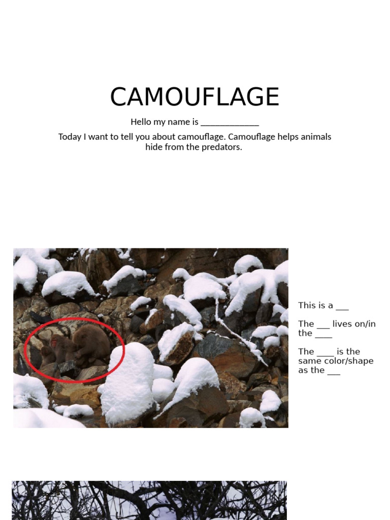 CAMOUFLAGE English Practice | PDF