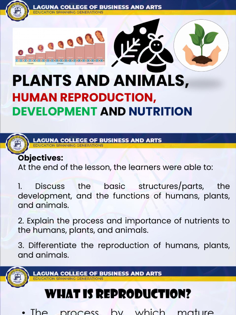Lesson 1- Plant and Animal Organ System Ad Their Functions | PDF ...