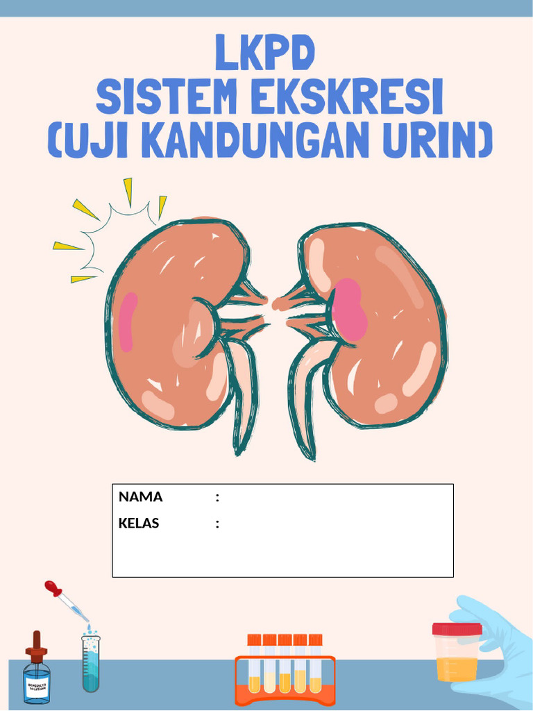 Lkpd Sistem Ekskresi 1 | PDF