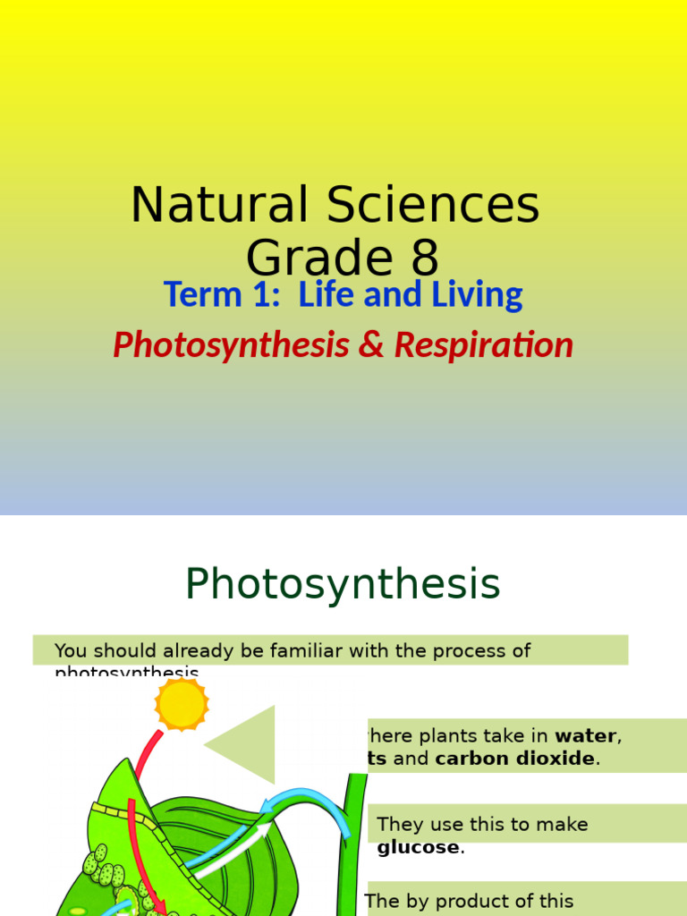 GRD8 Photosynthesis-And-Respiration | PDF | Photosynthesis | Cellular ...