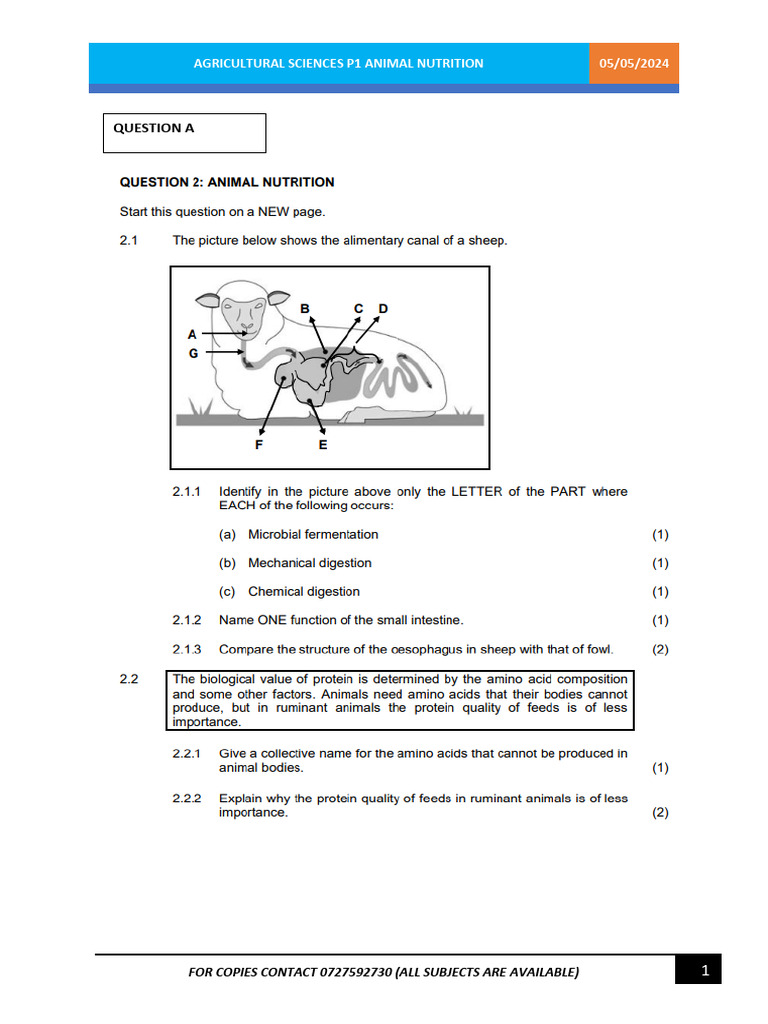 Agricultural Sciences: Animal Nutrition | PDF
