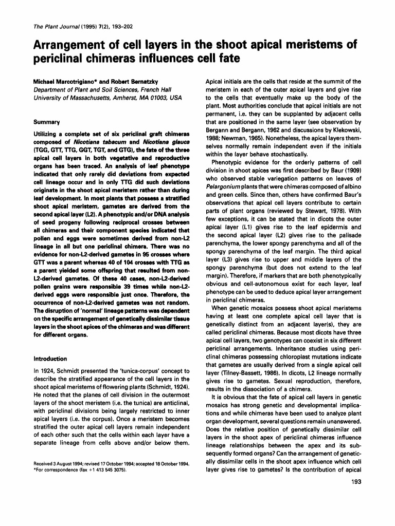Arrangement of cell layers in the shoot apical meristems of periclinal ...