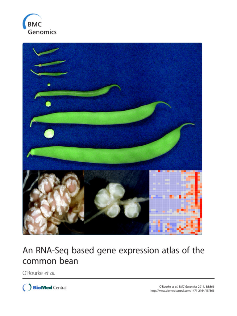 RNA-Seq Gene Expression Atlas of Common Bean | PDF | Phaseolus Vulgaris ...