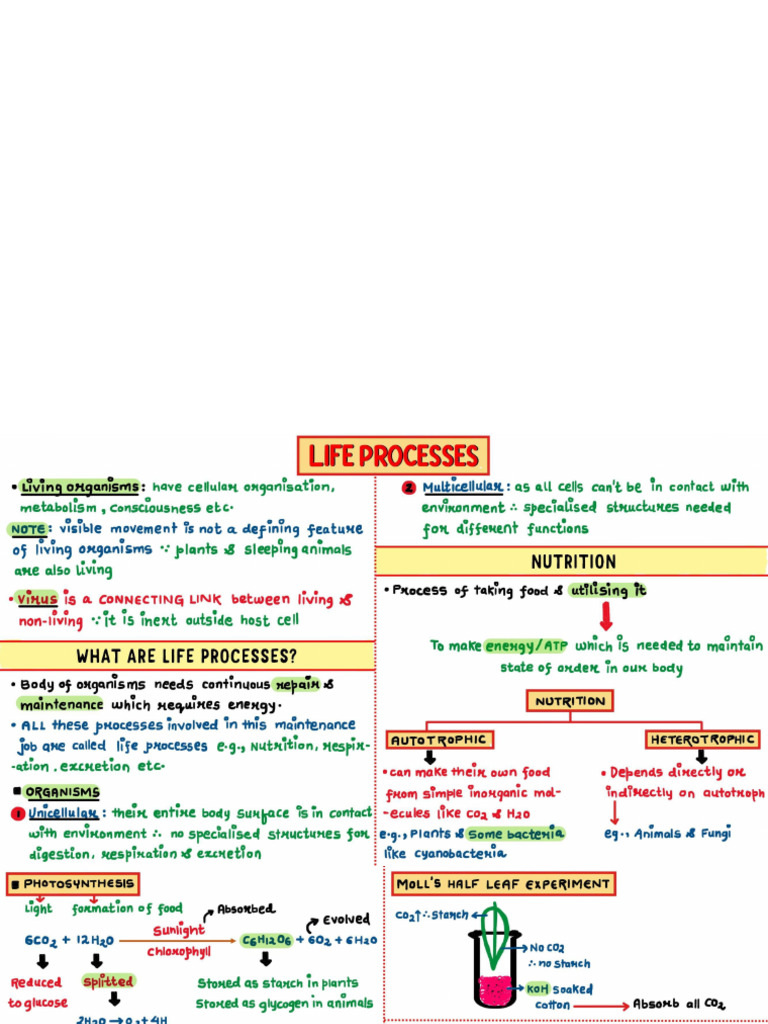 1. Life Processes Short Notes | PDF