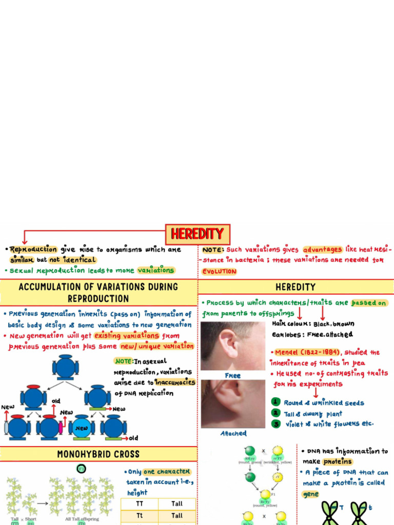 Heredity Short Notes | PDF
