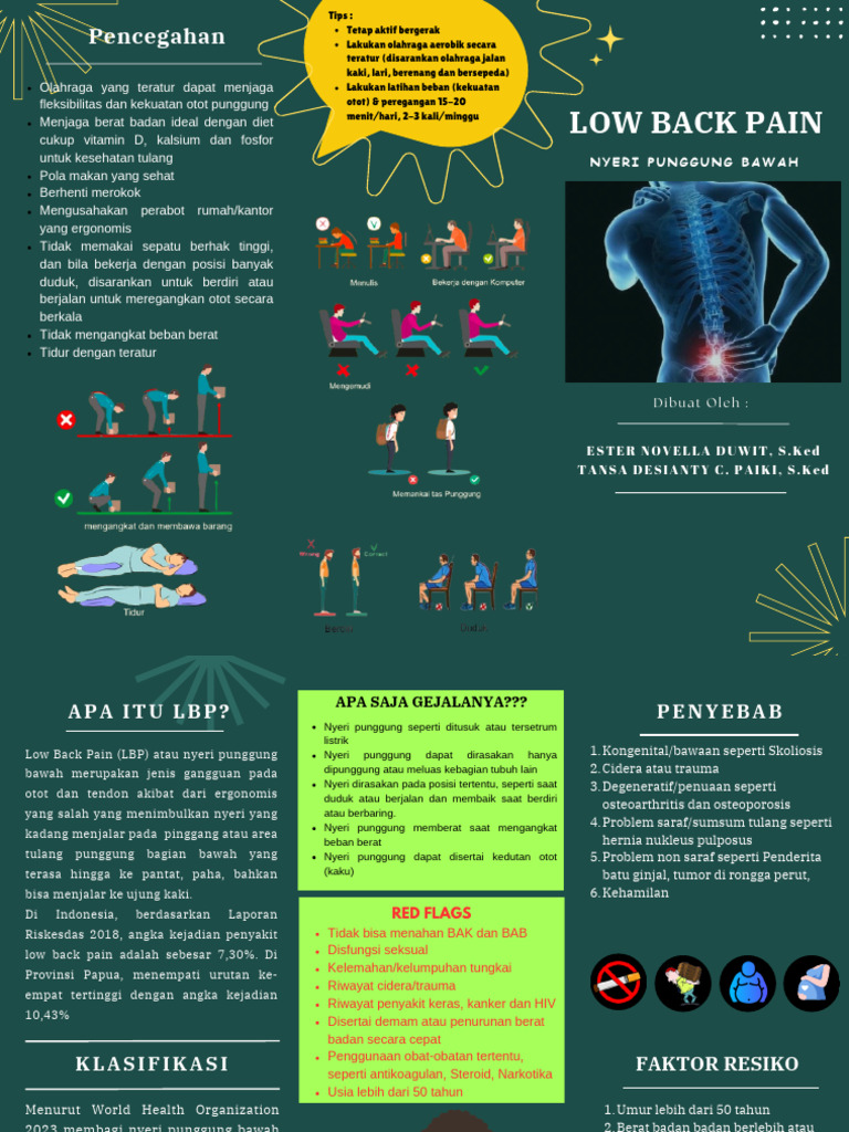 LBP - Leaflet Low Back Pain | PDF