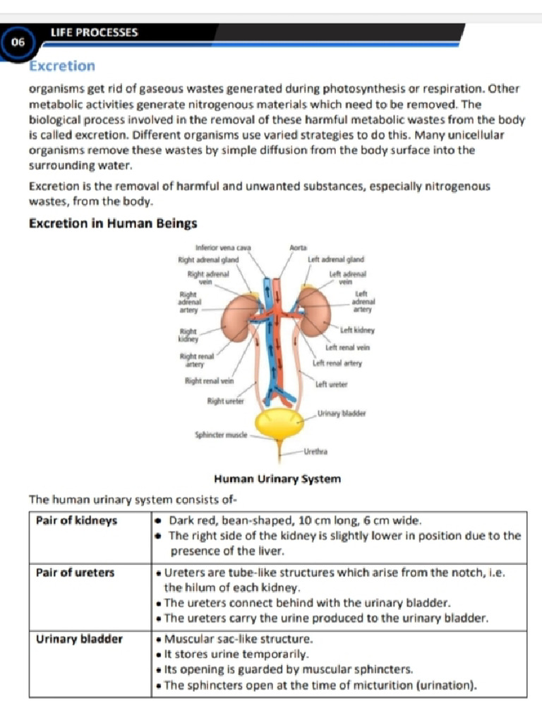 Science Classwork | PDF