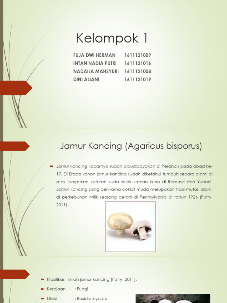 Jamur Kancing | PDF